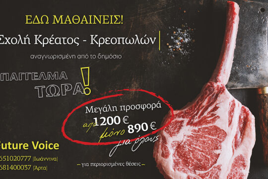 Future Voice Εκπαίδευση